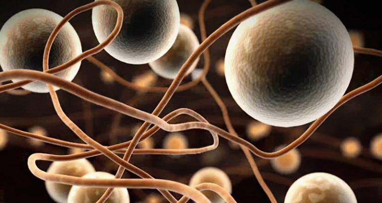 What Makes Hydrocolloids So Awesome?