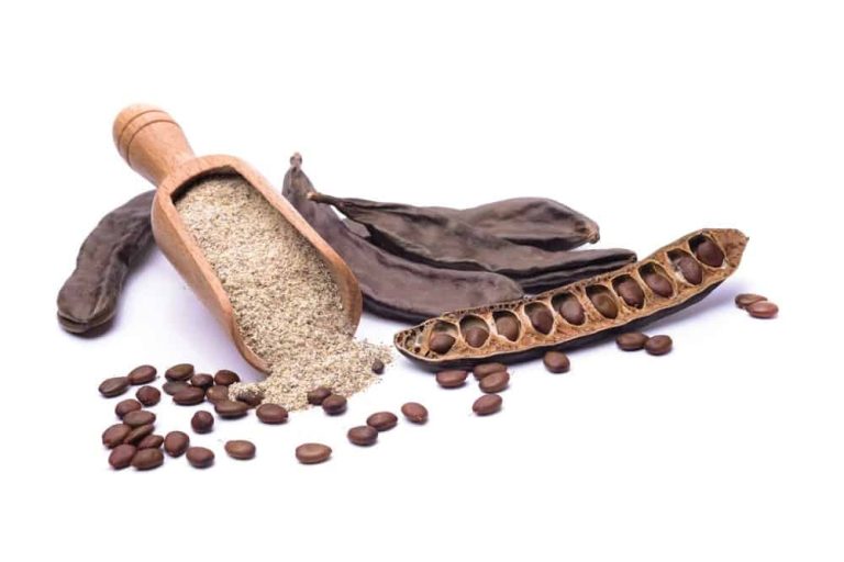 Leading Locust Bean Gum Supplier for B2B Industries | SGI